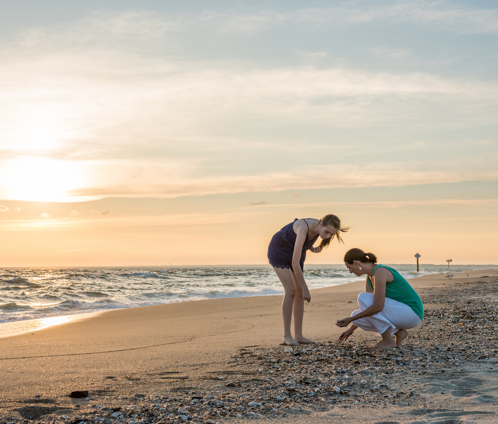Shelling in NC | Whelks, sand dollars, scotch bonnets