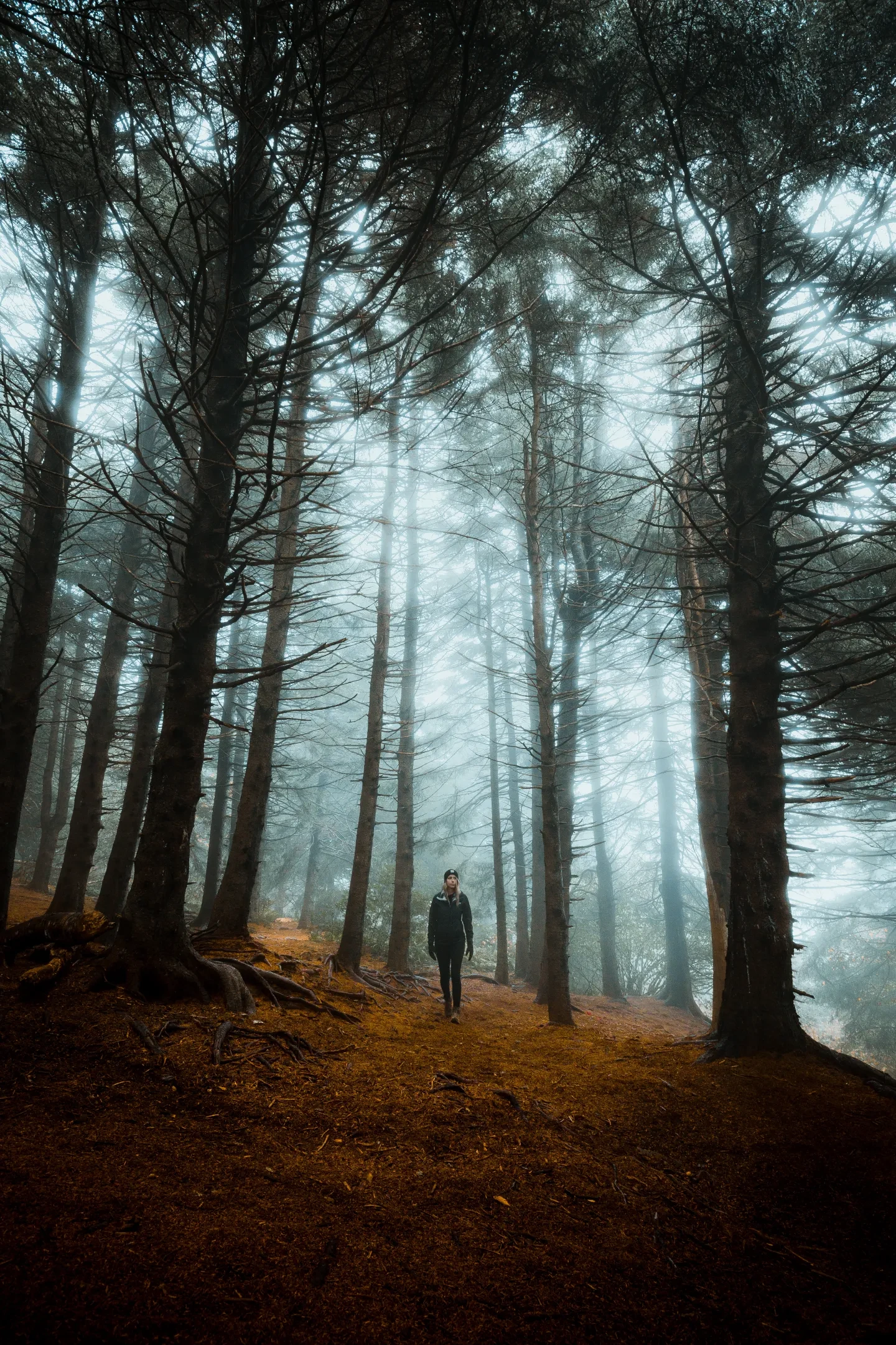 First in Fright | Paranormal Places, Scary Stories, Local Haunts ...