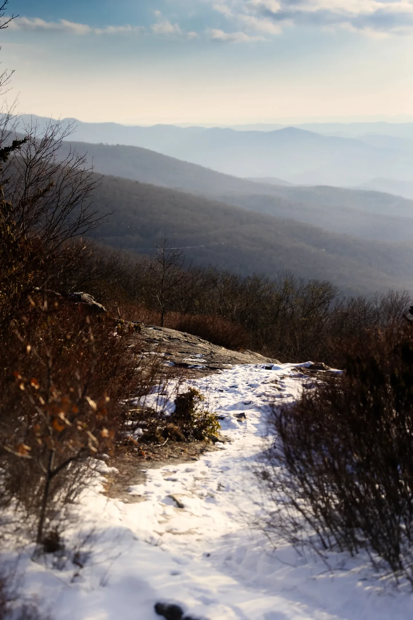 North Carolina Winter trips | Things to do in Winter in NC | VisitNC.com