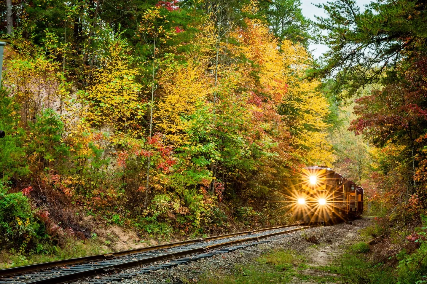 Fall Festivals, Events & Activities in North Carolina | VisitNC.com