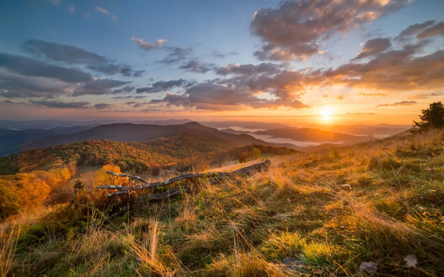 Things to Do in Cherokee | NC Smoky Mountains