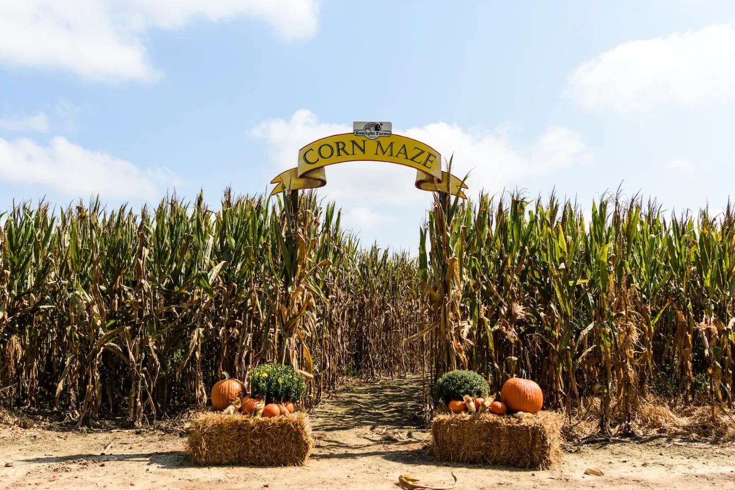 Pumpkin Patches, Corn Mazes & Hayrides at Farms in NC