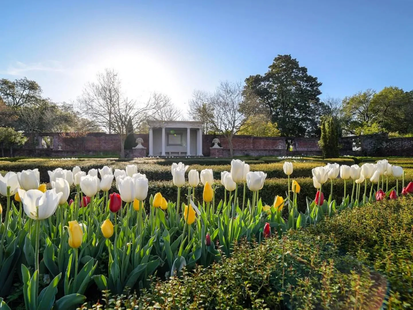 Spring Festivals - Things to Do This Spring in NC | VisitNC.com