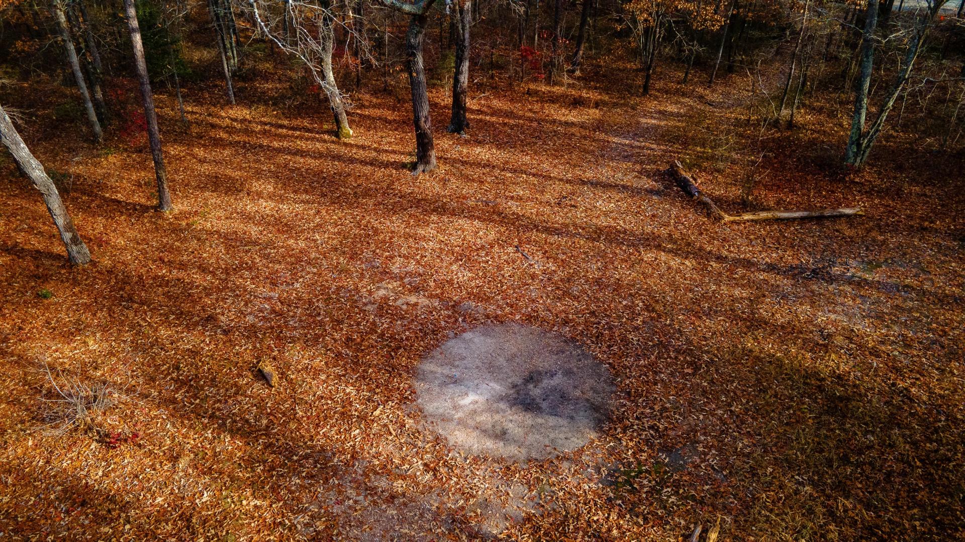Devil’s Tramping Ground | Visit North Carolina