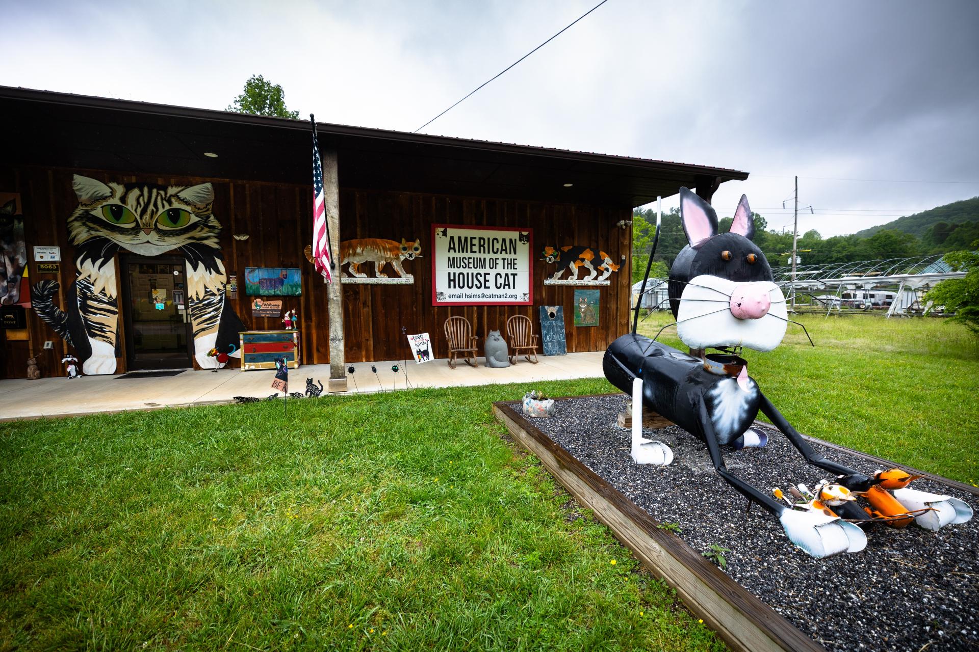 American Museum of the House Cat | Cat museum in Sylva, NC