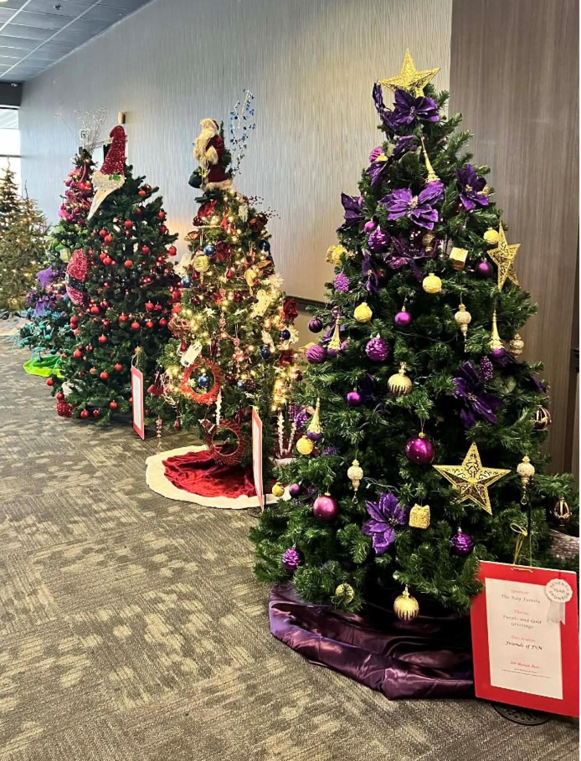 3rd Annual Festival of Trees | Visit North Carolina
