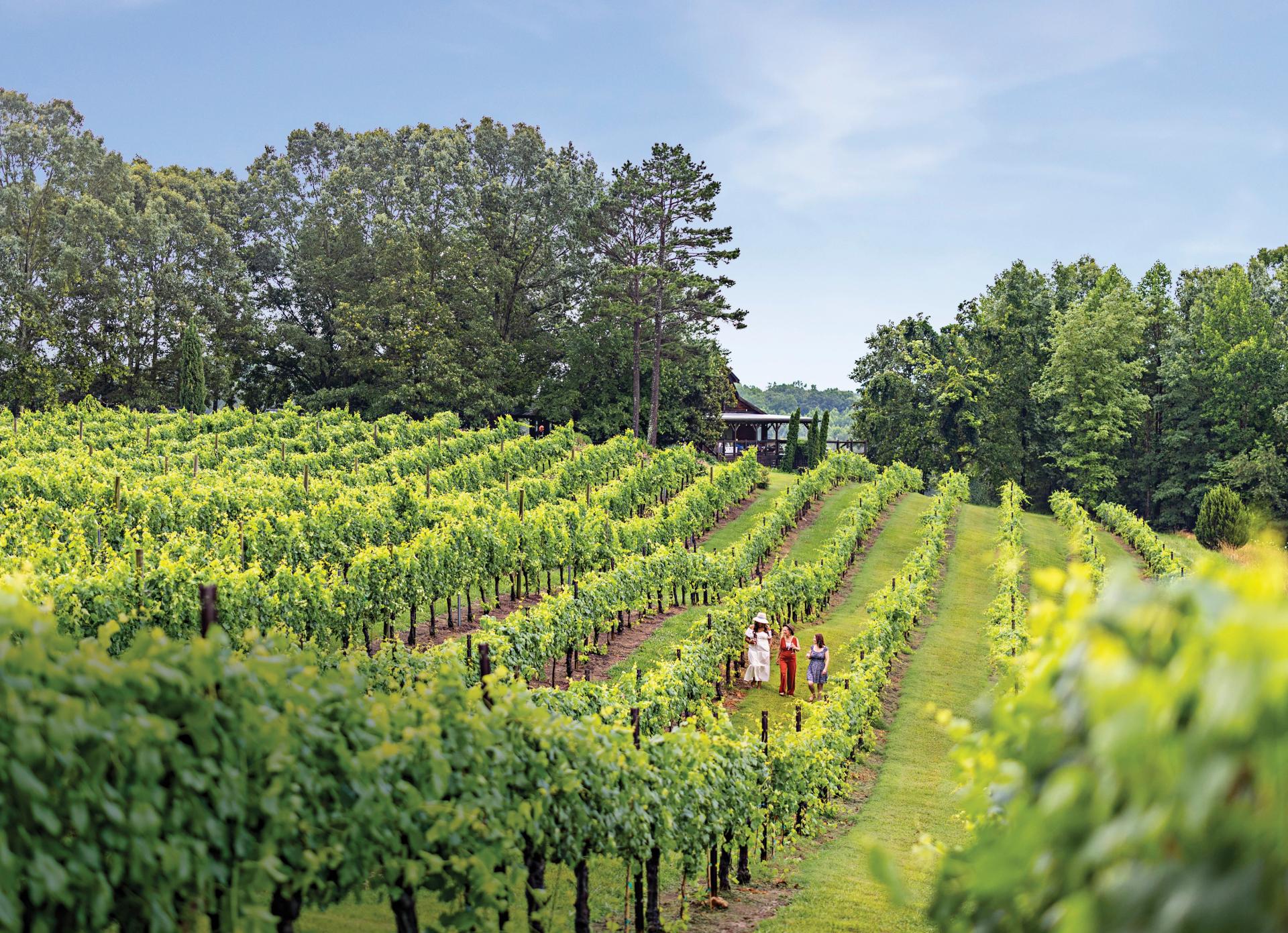 Visit North Carolina | Official NC Travel & Tourism Website