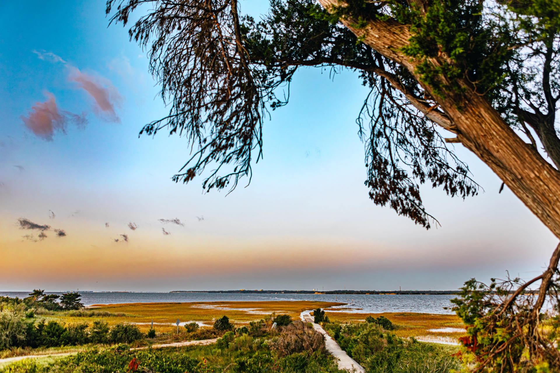 Fort Fisher State Historic Site | Civil War History Near Kure Beach