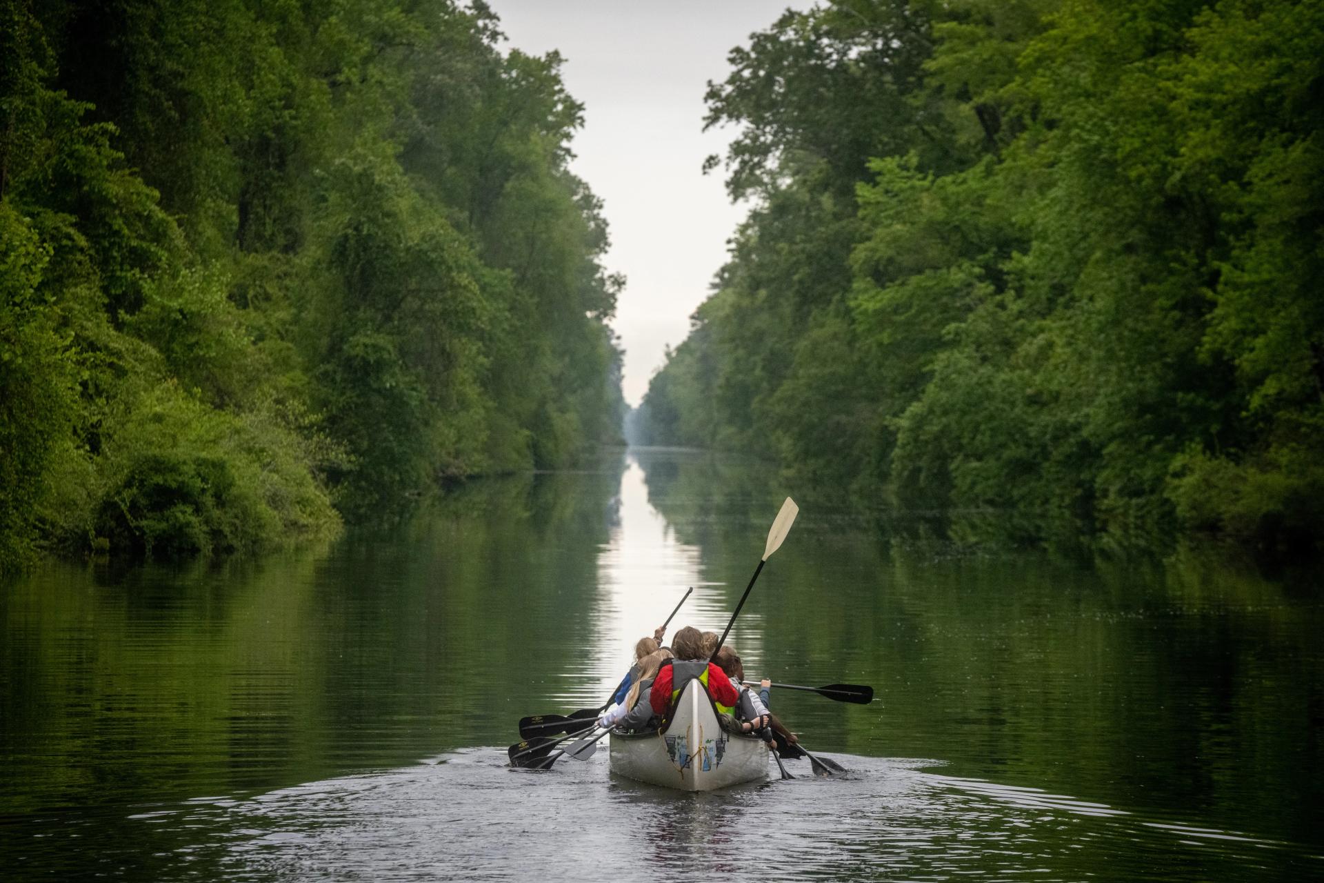 Things to do with your kids in NC before they grow up