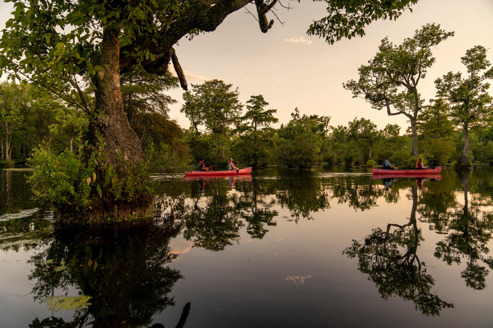 12 of the Best North Carolina State Parks for Adventures