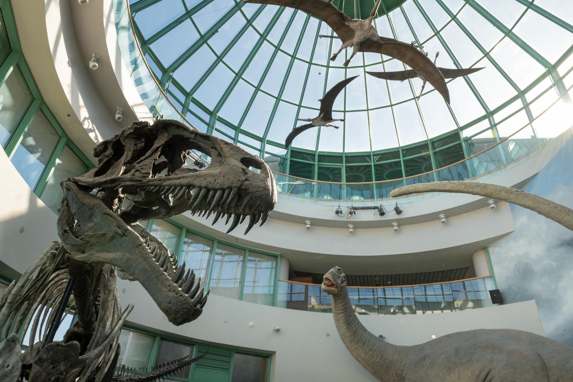 North Carolina Children’s Museums | Kids' Science Museums