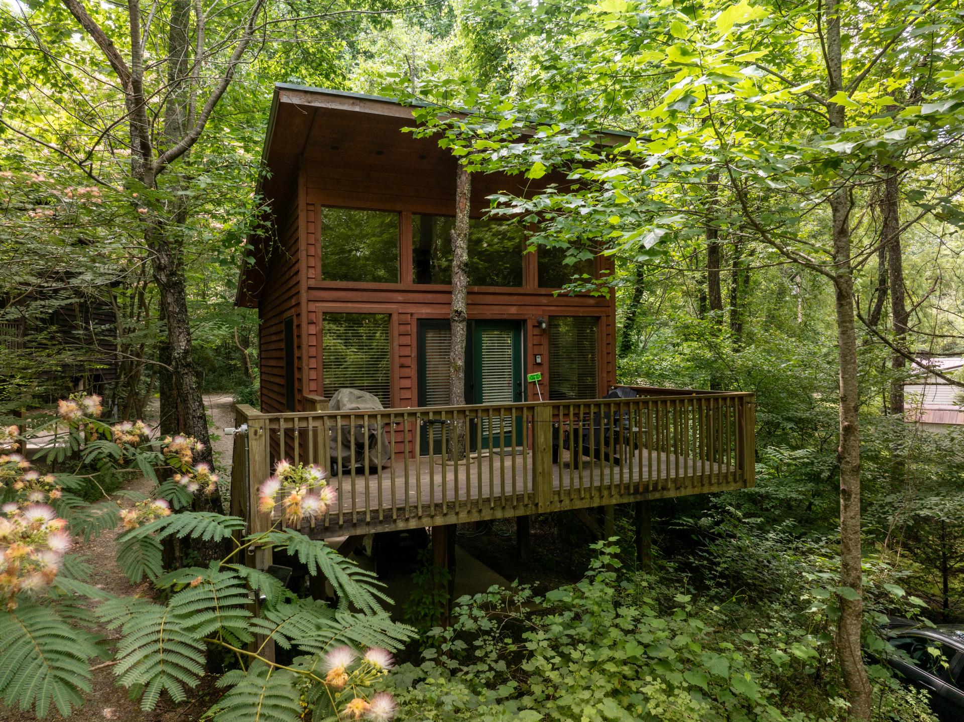 North Carolina Mountain Cabin Rentals | Cabins to Rent in NC