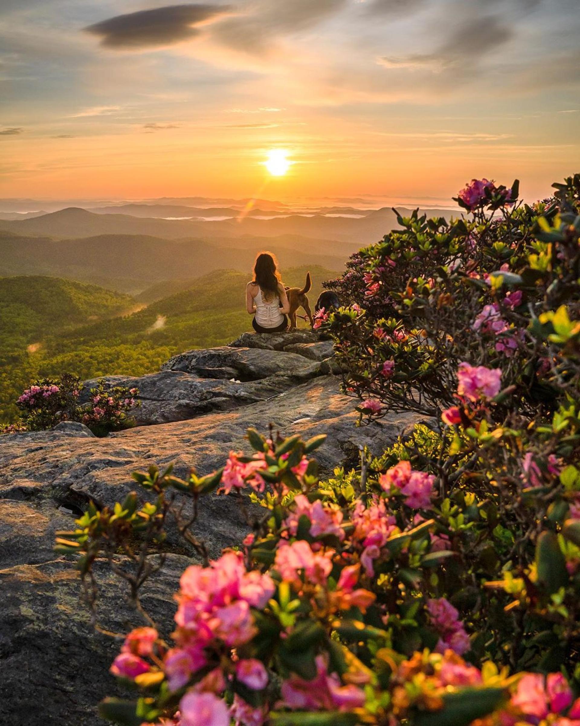 Linville Gorge Wilderness Area | VisitNC.com