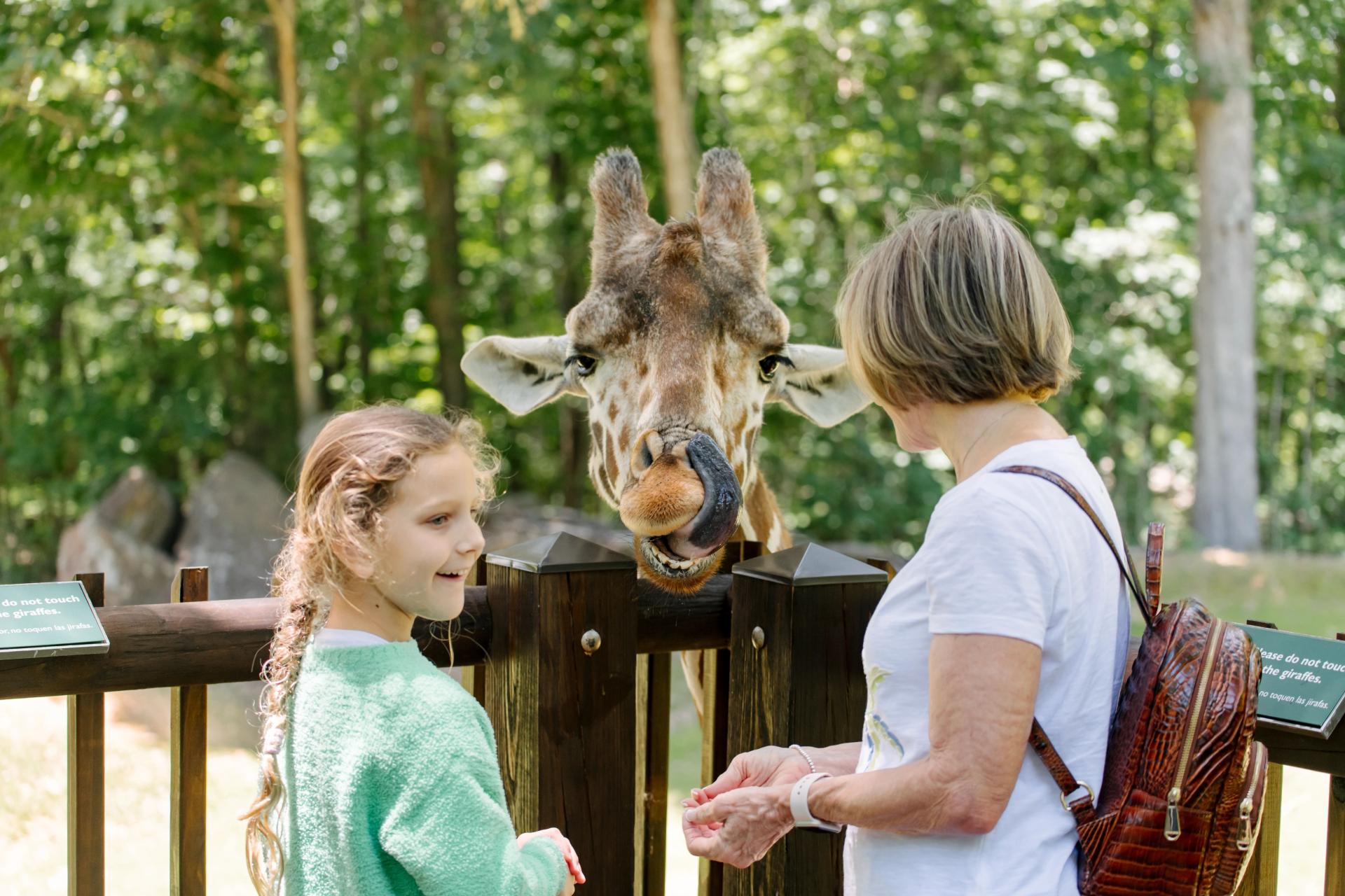 Animal encounters in North Carolina | Zoos & safaris