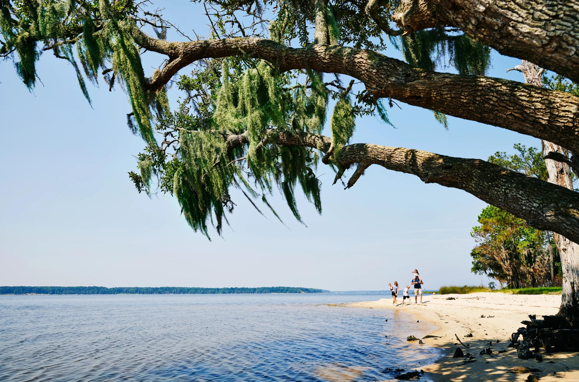 12 of the Best North Carolina State Parks for Adventures