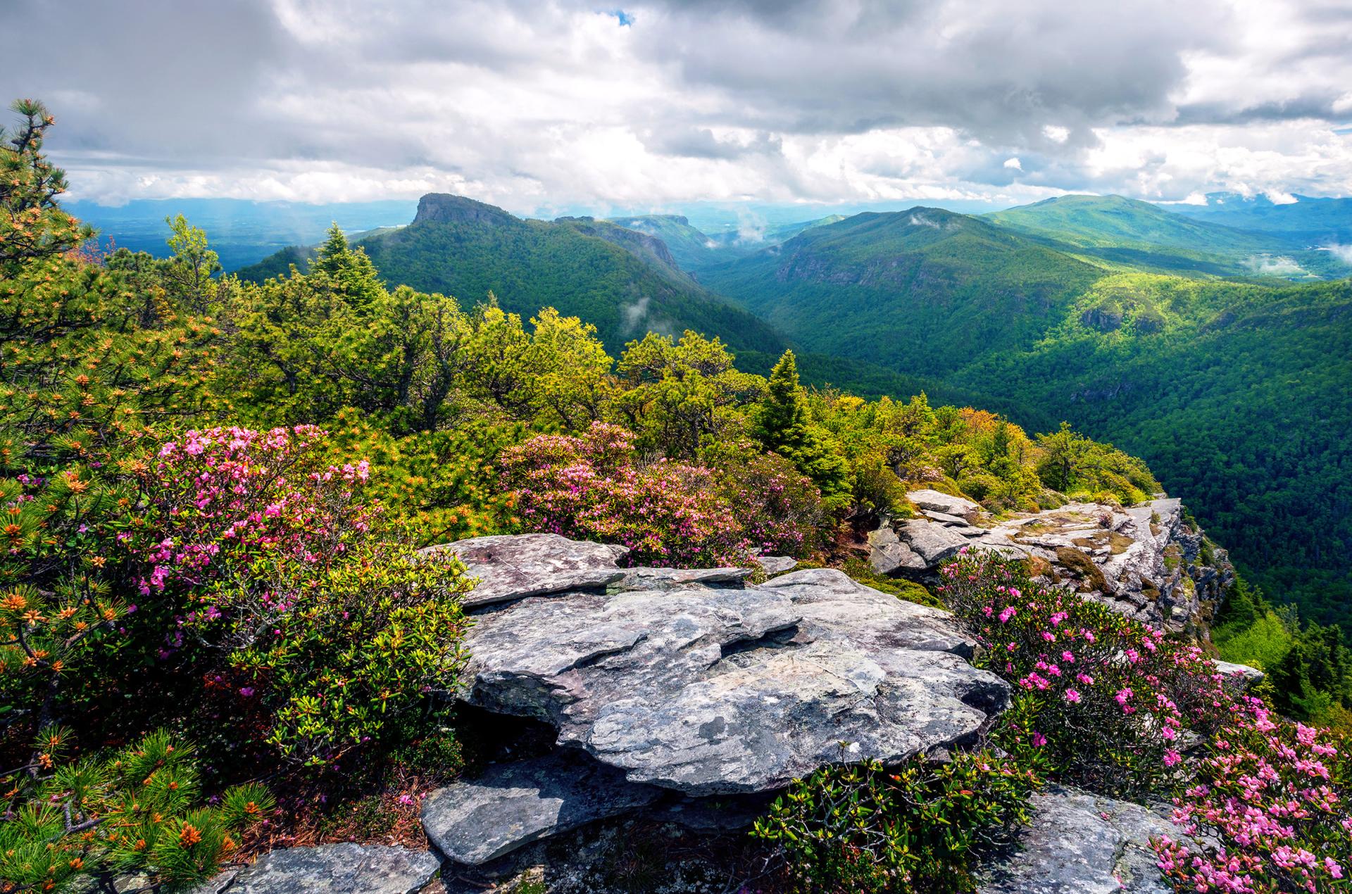 Spring Festivals - Things to Do This Spring in NC | VisitNC.com