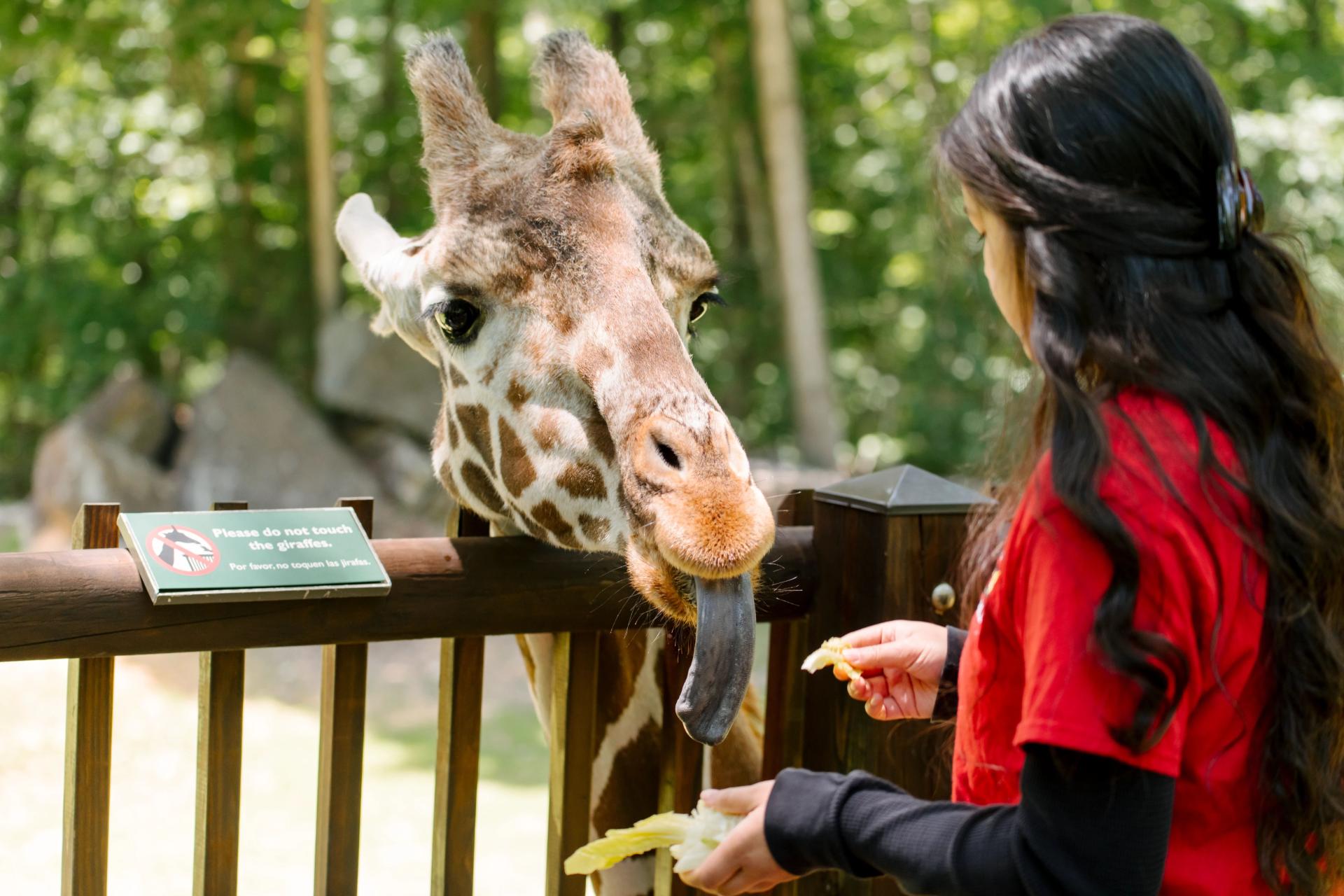 Animal encounters in North Carolina | Zoos & safaris