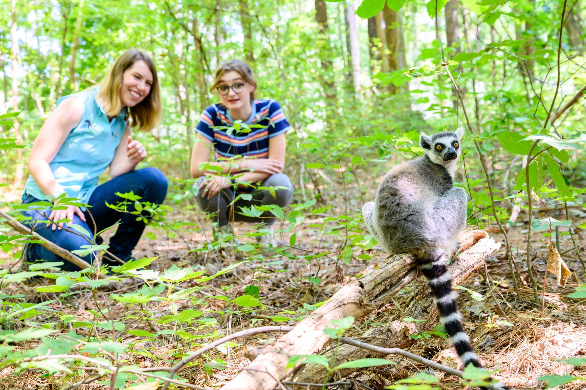 Animal encounters in North Carolina | Zoos & safaris