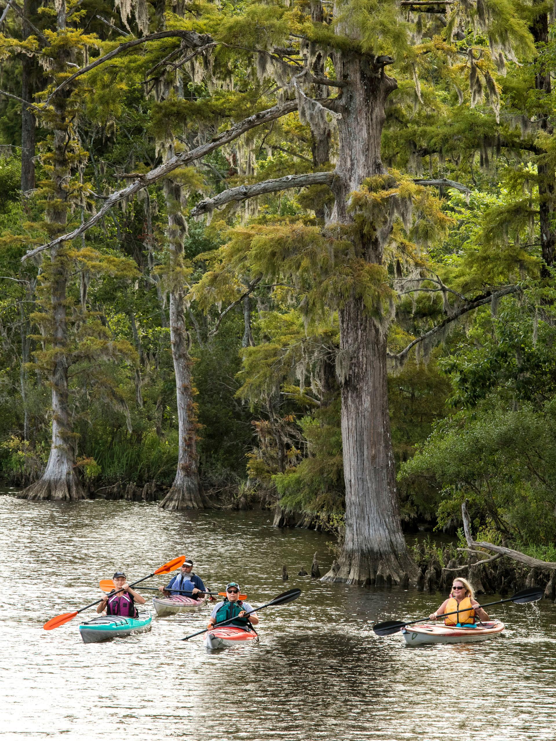 Relax at These Tranquil Spots on the North Carolina Coast