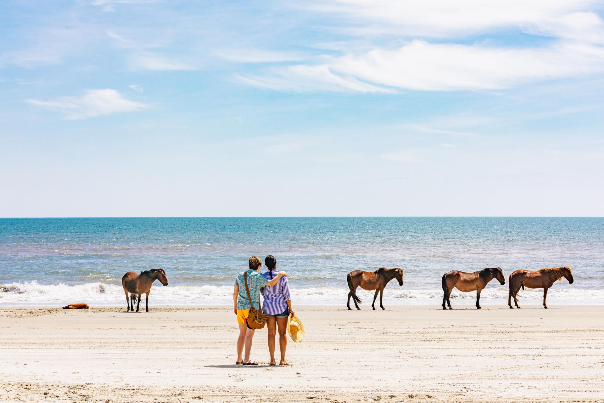 5 amazing spring break destinations in North Carolina