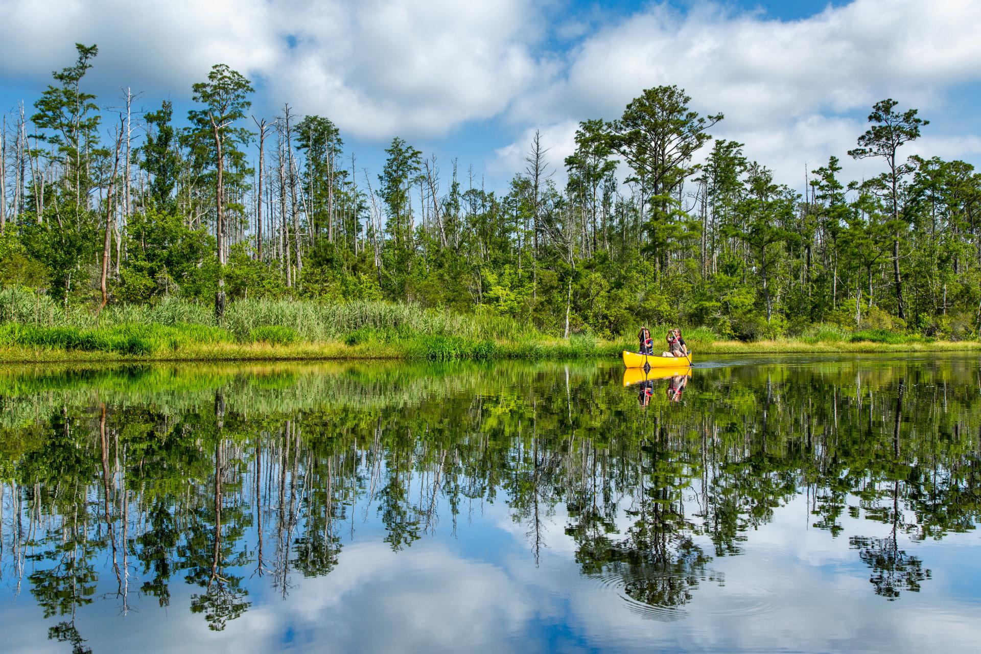 North Carolina for the Outdoor Explorer | VisitNC.com