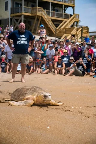 turtle beach basingstoke